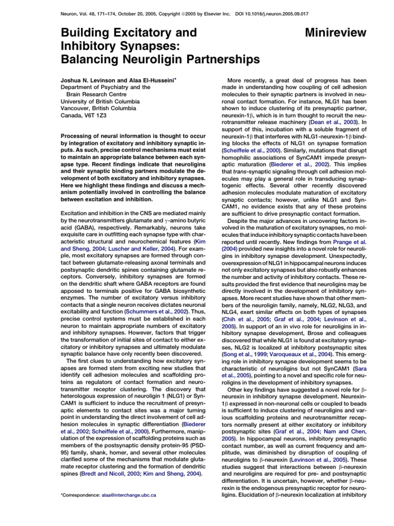 Building Excitatory and Inhibitory Synapses Balan | PDF | Synapse | Chemical Synapse