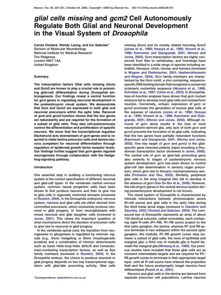 Em Glial Cells Missing em and em gcm2 em Cel | PDF | Nervous System | Neuron