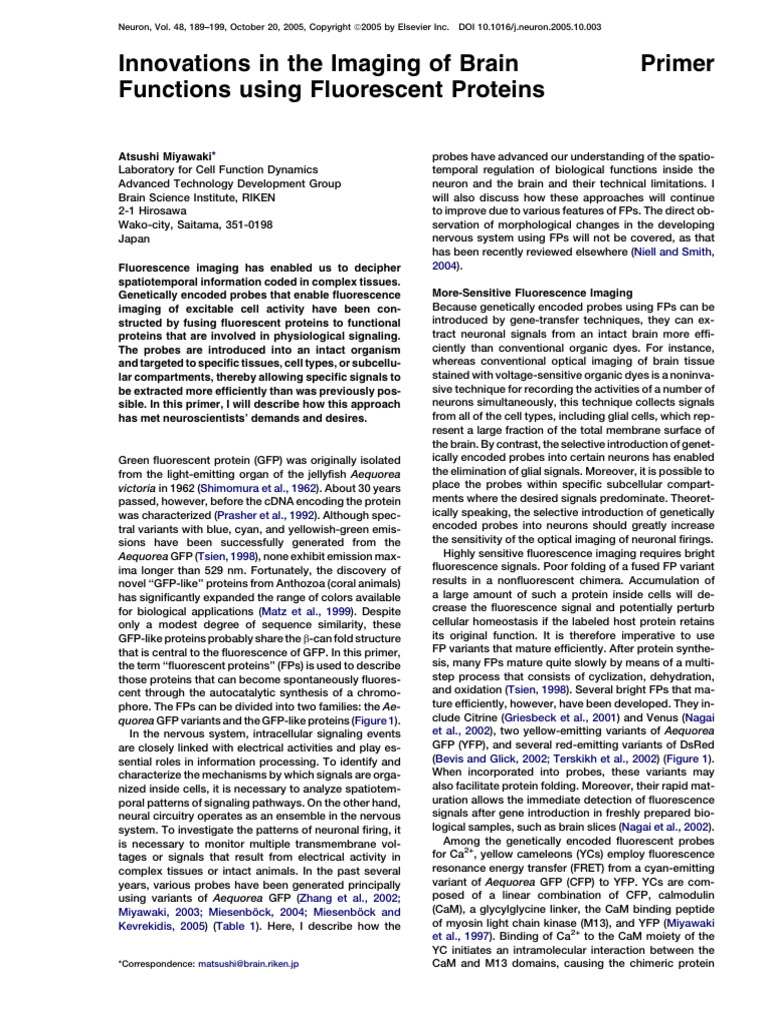 Innovations in The Imaging of Brain Functions Usin | PDF | Green ...