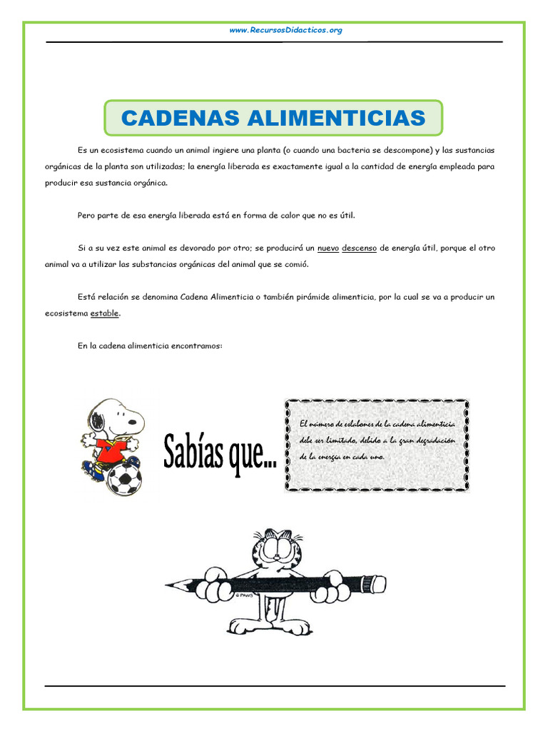 Cadena Alimenticia | PDF | Ecología | Biología