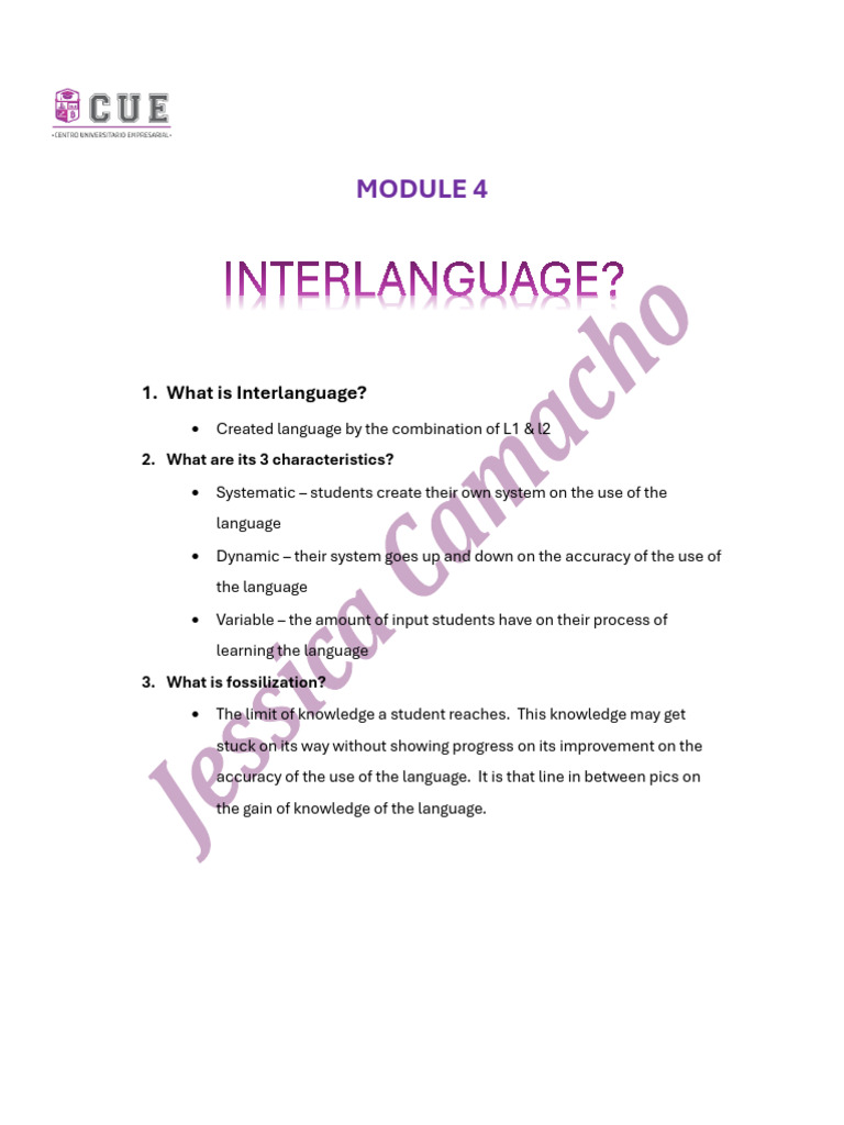 Understanding Interlanguage Basics | PDF | Language Arts & Discipline