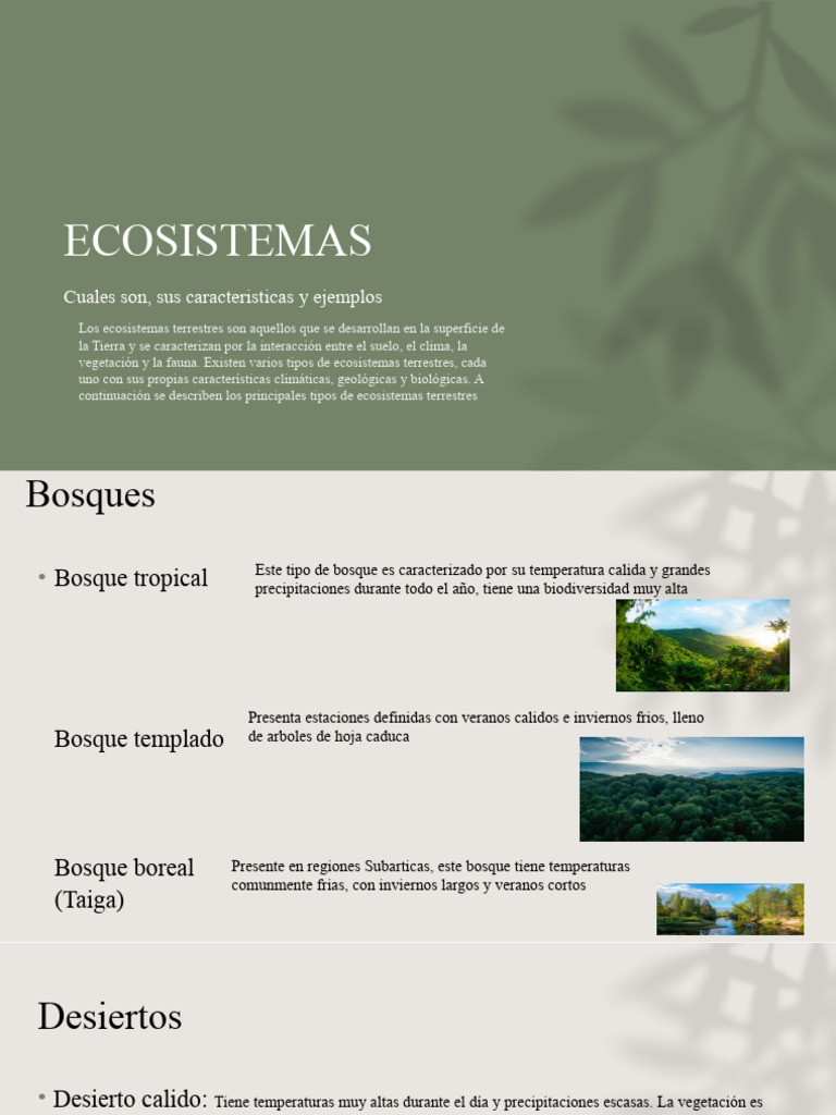 Presentación Ecosistema Matias 5A | PDF