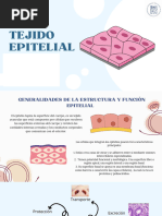 05 Tejidos Epiteliales III Especializaciones Del Dominio Basolateral ...