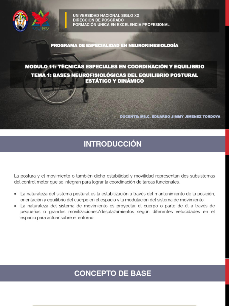 Tema 1 - Control Postural | PDF | Músculo | Cerebro