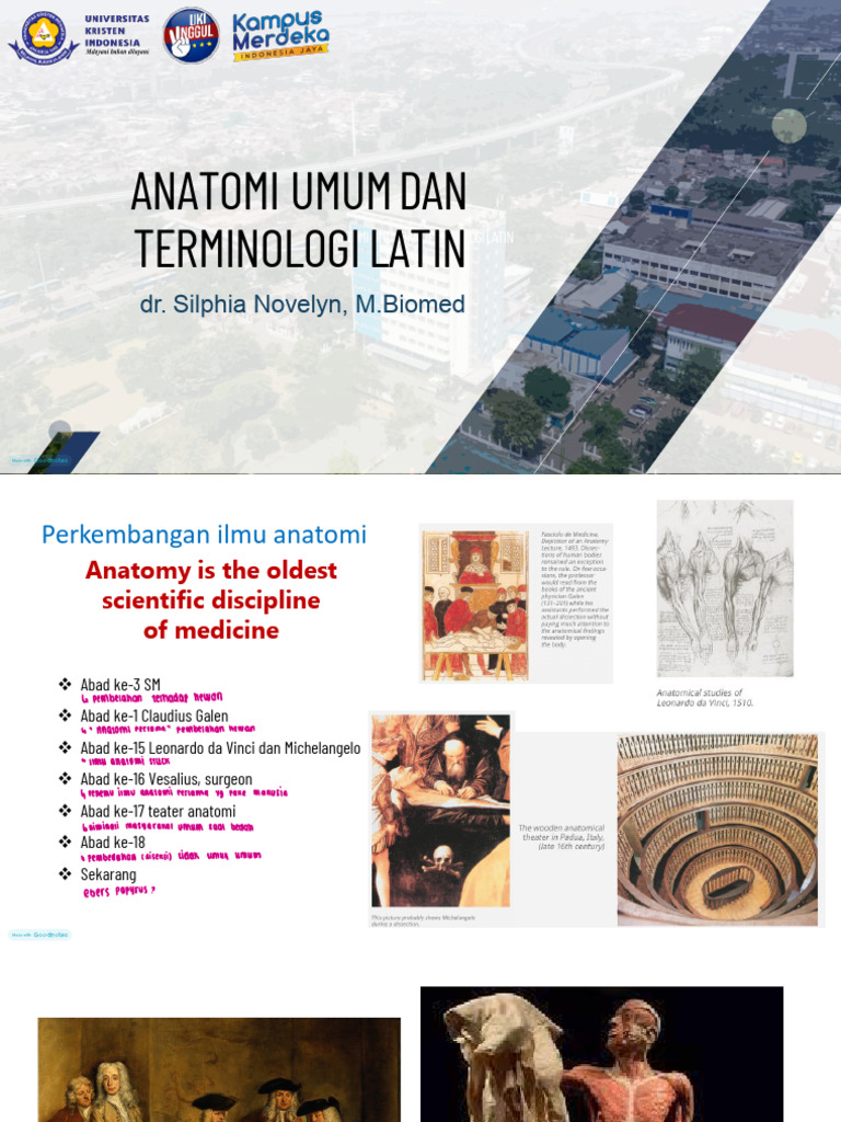 Anatomi Regio Plantar Manus | PDF