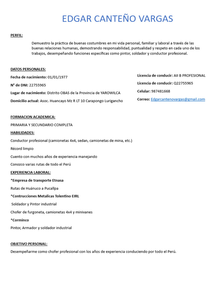 Curriculum Edgar Can Te Ñ o | PDF