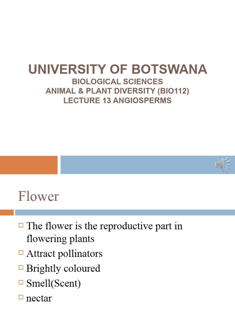 Angiosperm Reproductive Biology Explained | PDF | Fertilisation ...