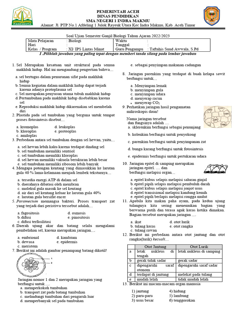 Soal Ujian Semester I BIOLOGI XI IPS 2022 | PDF | Kajian Bahasa Asing | Kesehatan Holistik