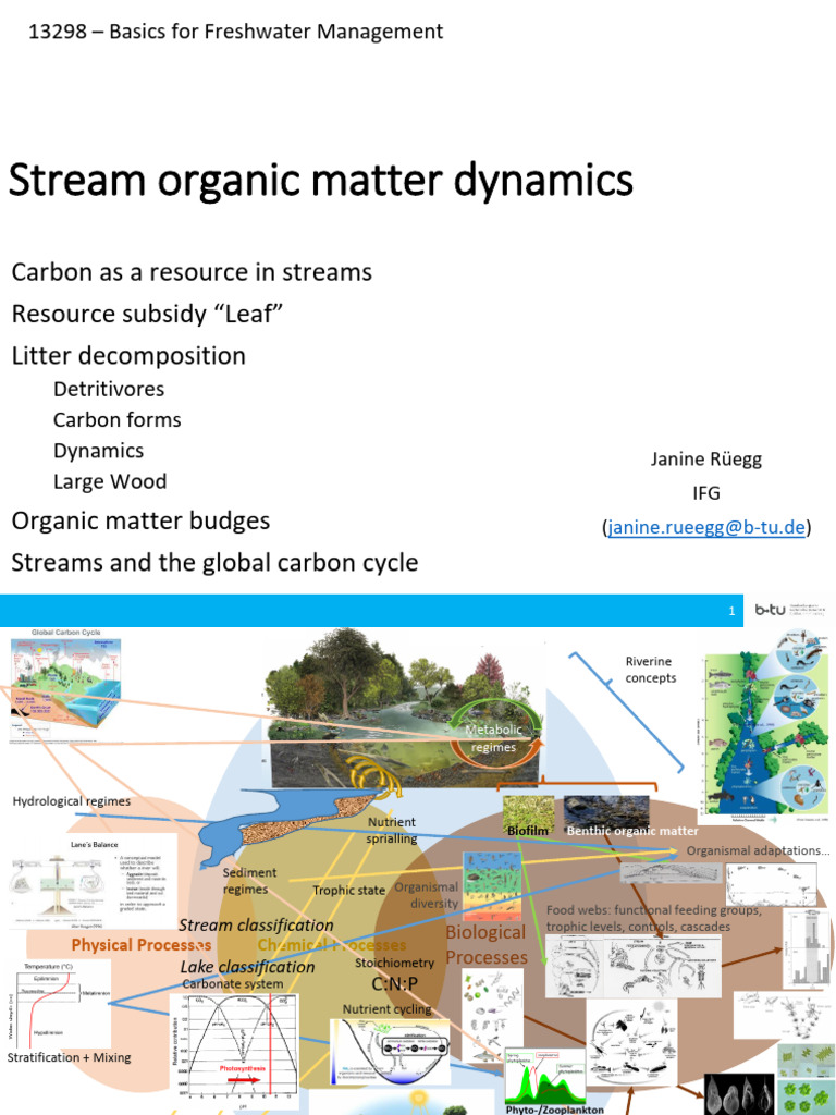 Stream Organic Matter Dynamics: Carbon As A Resource in Streams ...