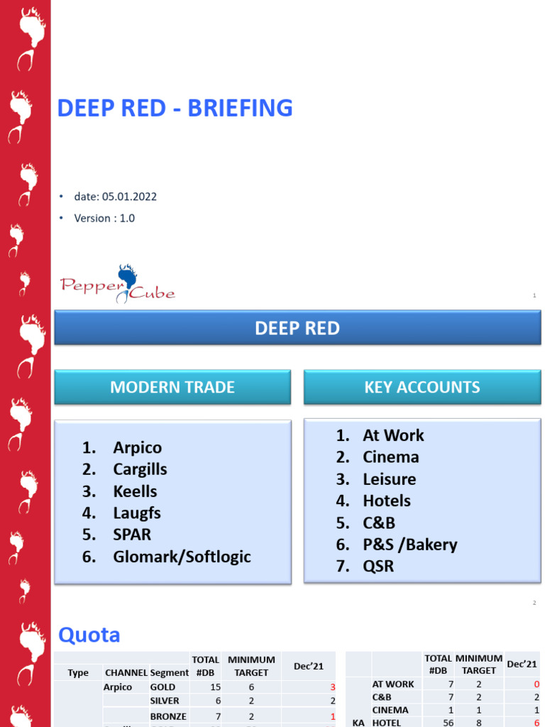 Deep Red Briefing Jan22 v1.0 | PDF