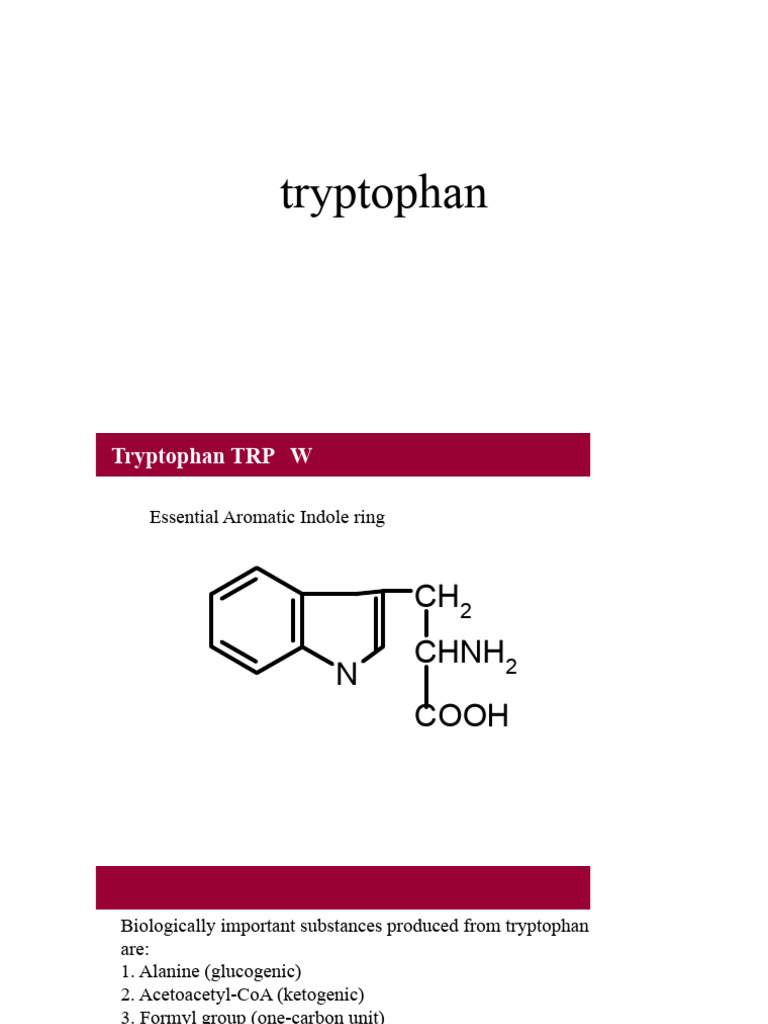 Tryptophan and Histidine | PDF | Tryptophan | Serotonin