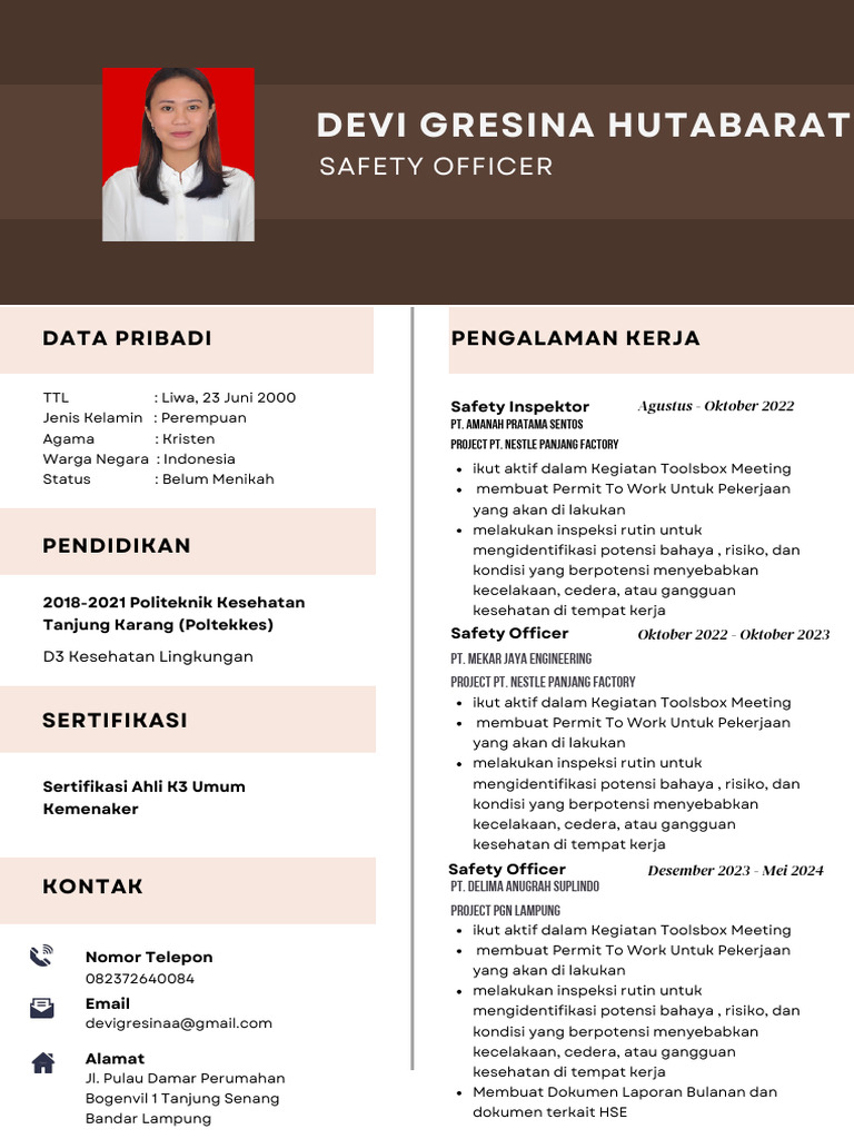 CV Devi Gresina H | PDF