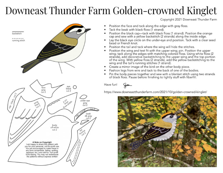Golden Crowned Kinglet Pattern | PDF