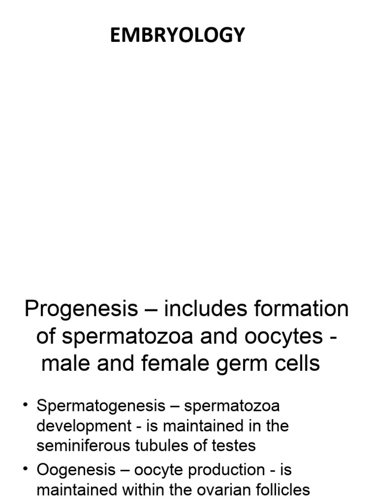 embryology | PDF | Morphology (Biology) | Biological Processes