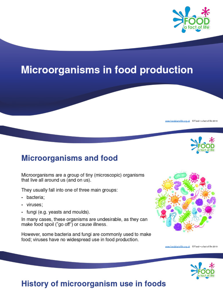 Microorganisms in Food Production | PDF | Fermentation In Food ...