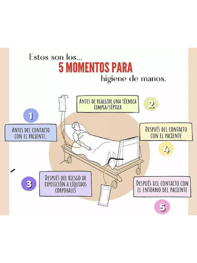 Los Cinco Momentos | PDF