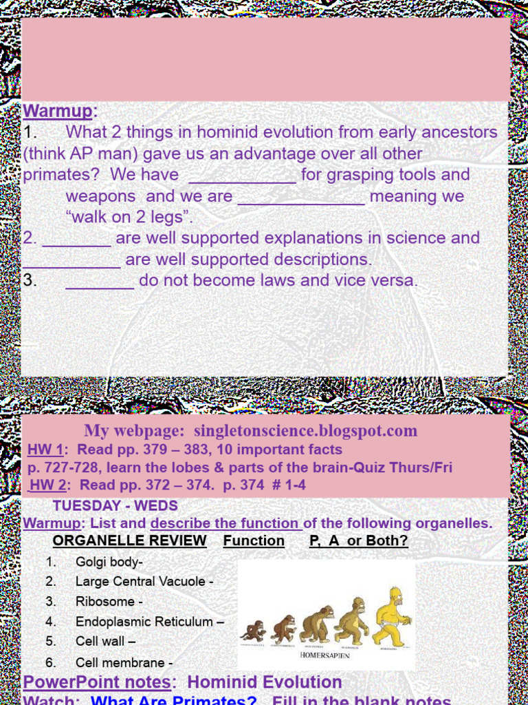 Hominid | PDF | Cell (Biology) | Prokaryote
