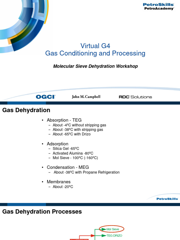 Molecular Sieve Dehydration Workshop | PDF | Adsorption | Absorption ...