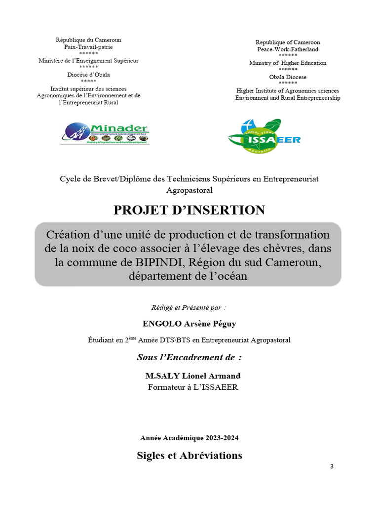 Projet Noix de Coco ENGOLO Arsene. | PDF | Noix de coco | Business
