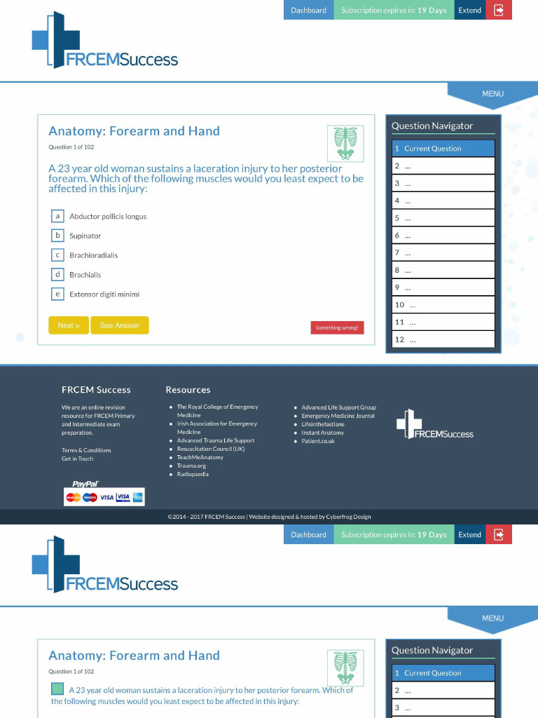 Anatomy Upper Limb Forearm and Hand | PDF
