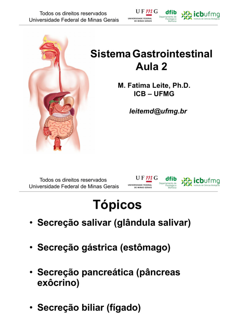 Digestorio Aula2 Secreção | PDF | Pâncreas | Gastroenterologia