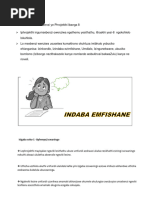 Isizulu Inkondlo Lesson Plan | PDF