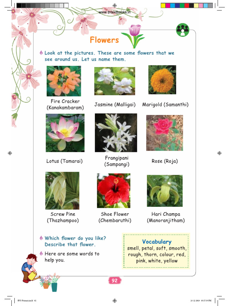 1st_EVS_Term_I vol 2 | PDF