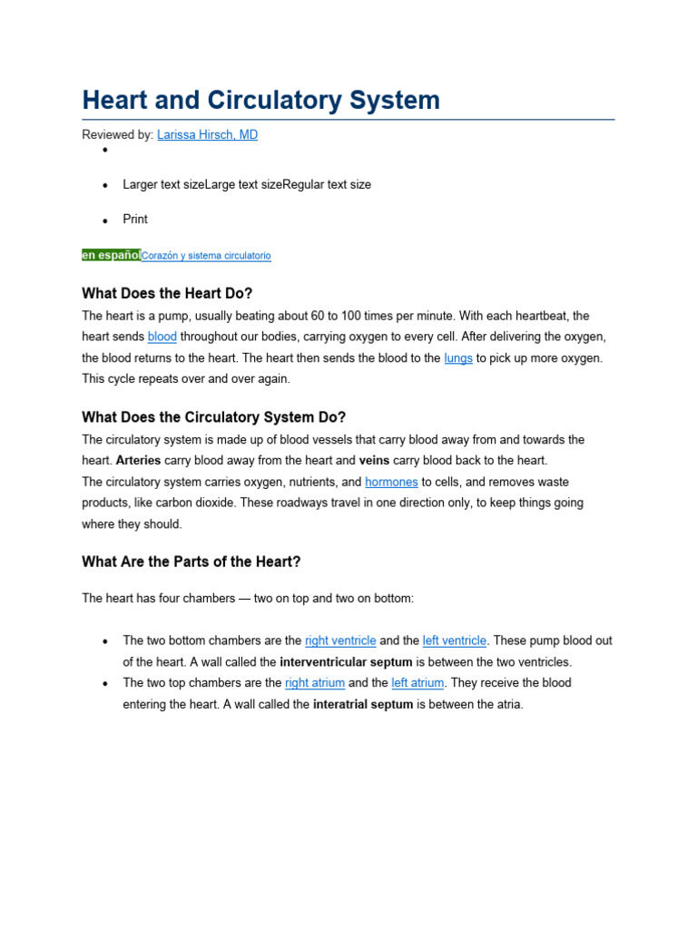 Heart and Circulatory System | PDF | Heart | Heart Valve