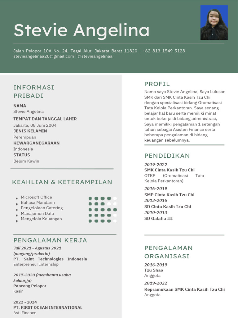 CV Stevie Angelina | PDF