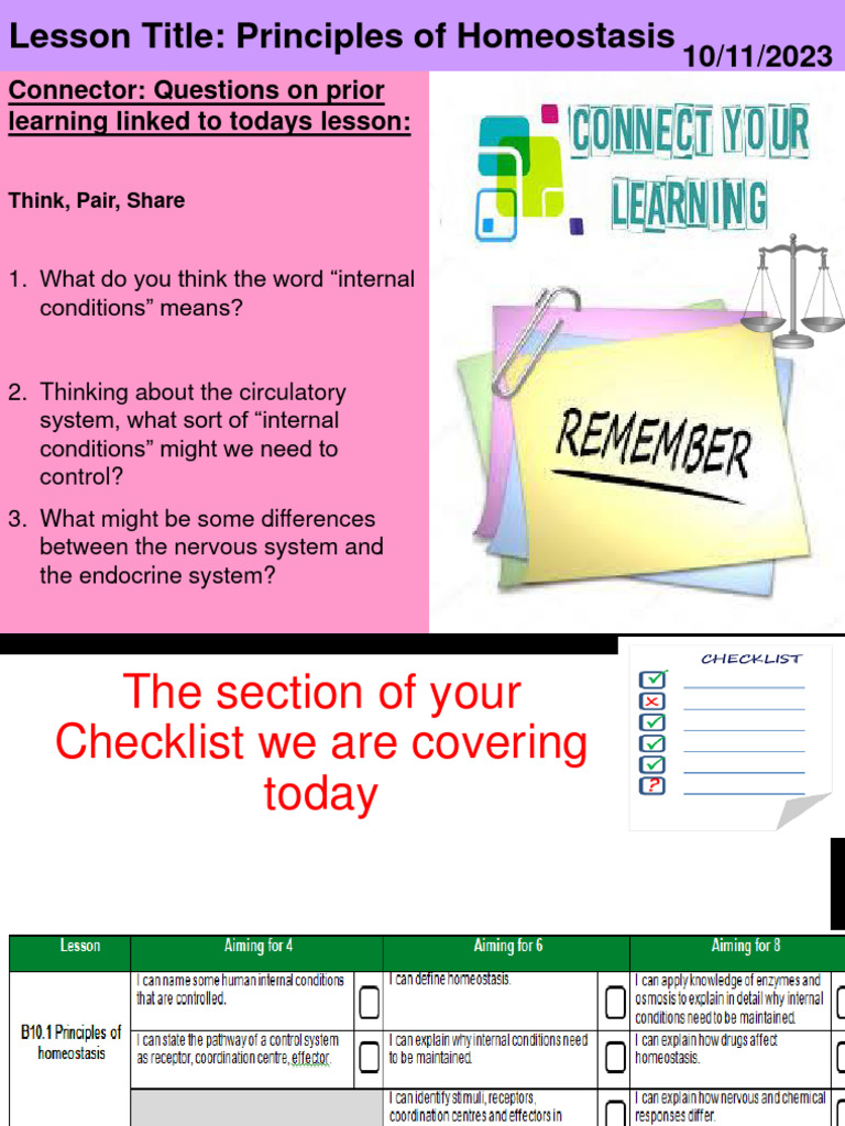 Homeostasis Introduction Lesson | PDF | Hormone | Nerve