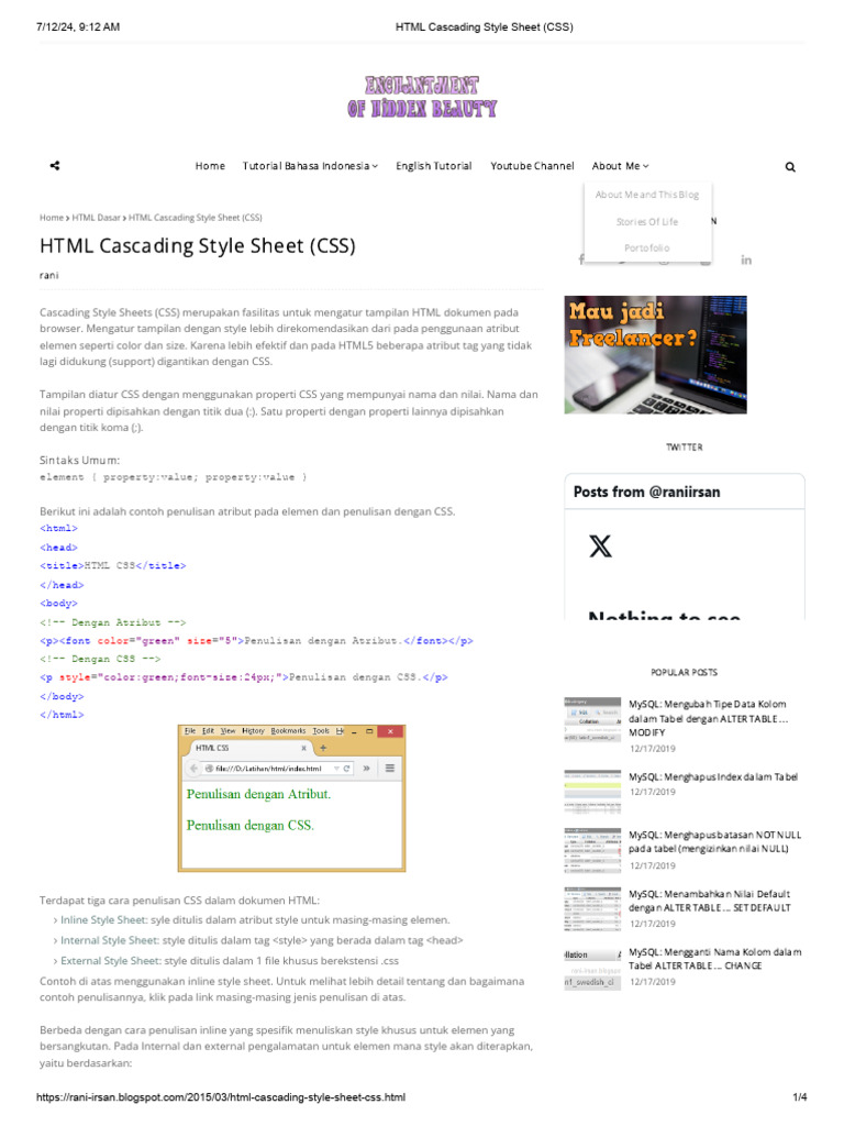 HTML Cascading Style Sheet (CSS) | PDF