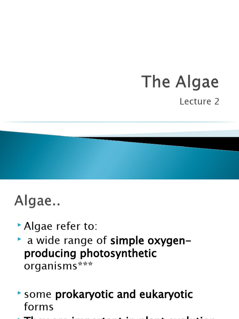 Lecture 2 The Algae 2019 | PDF | Cyanobacteria | Algae