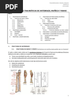 Visi Disi | PDF | Mano | Sistema musculoesquelético