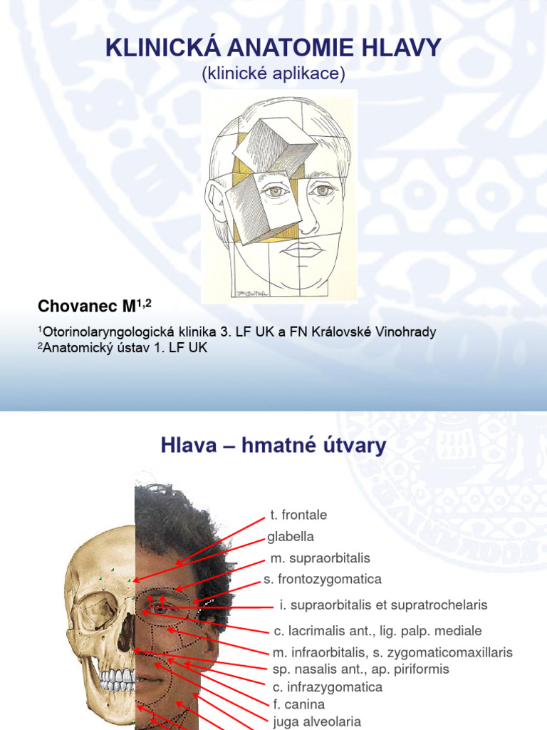 Cévy A Lymfa Hlavy 3.LF | PDF