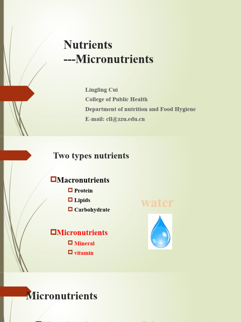Micronutrients 20230302 | PDF | Nutrients | Biomolecules