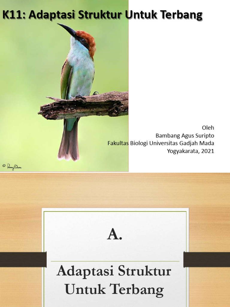 K11-Sistem Terbang PD Burung - Bas2021 | PDF | Feather | Birds