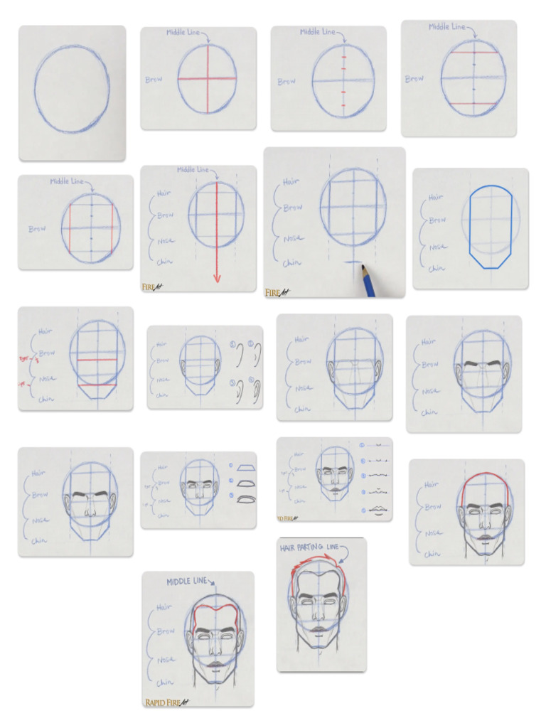 Art Face Study Steps | PDF