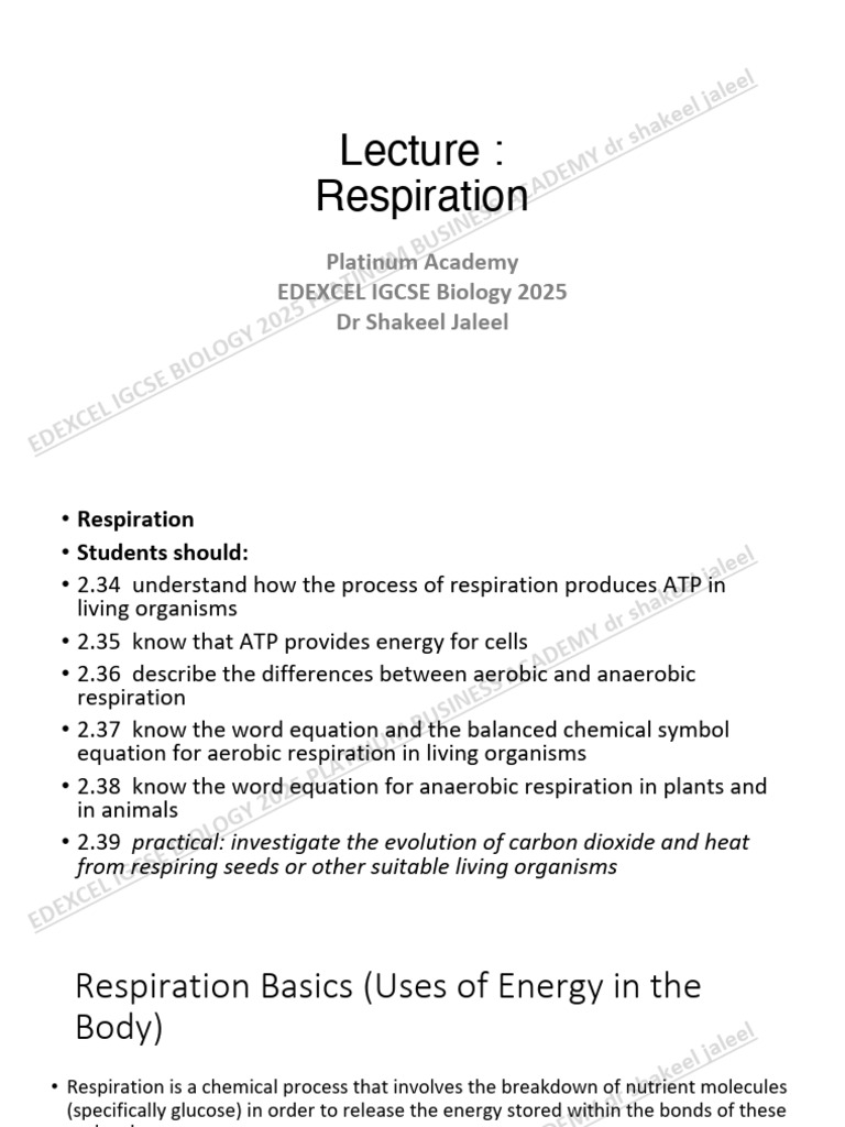 Respiration | PDF | Cellular Respiration | Enzyme