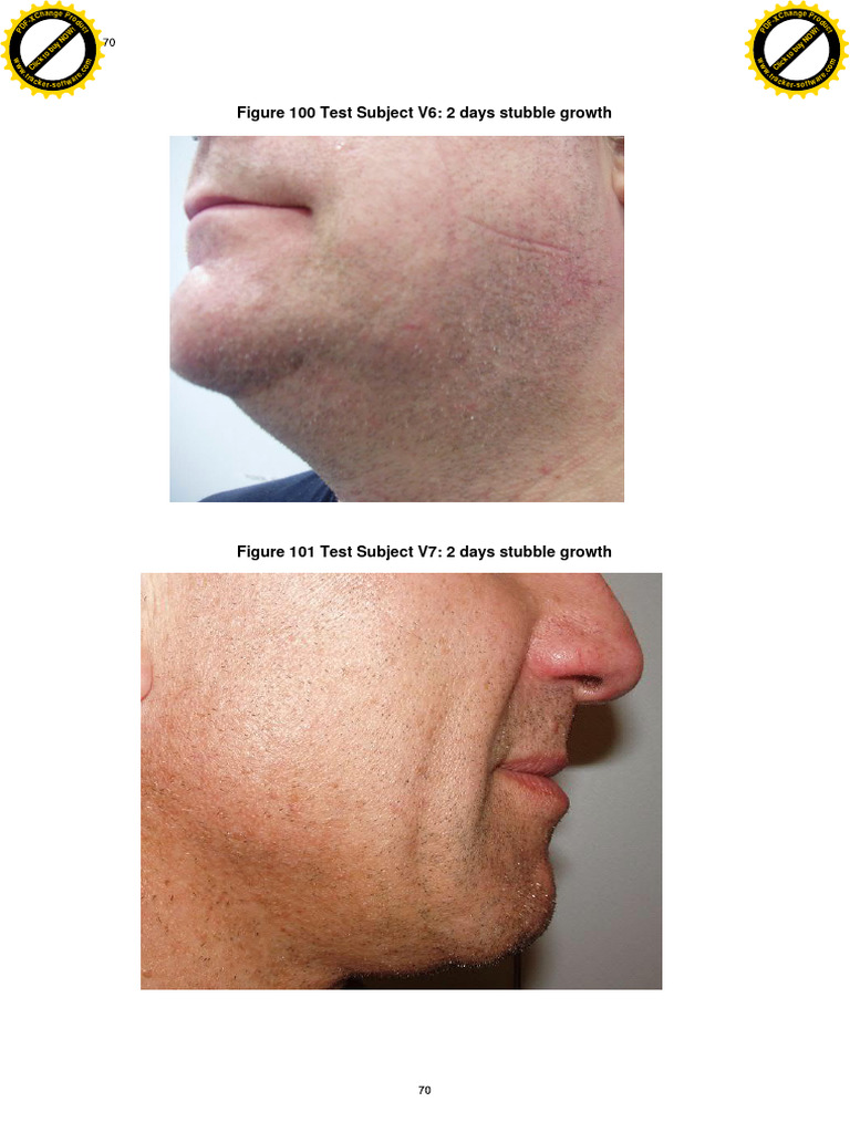 Stubble Face HSE Mask - 10 | PDF