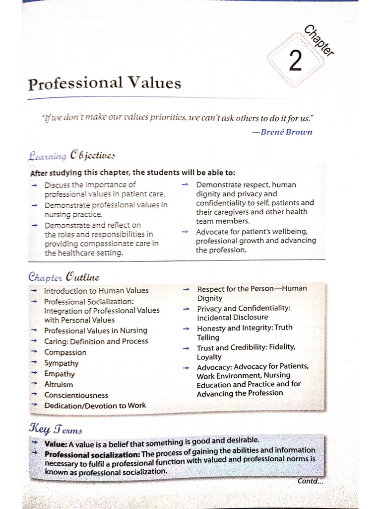 Professional Value | PDF