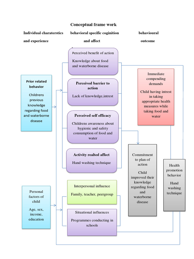 Conceptual Frame Work | PDF | Behavior | Social Psychology