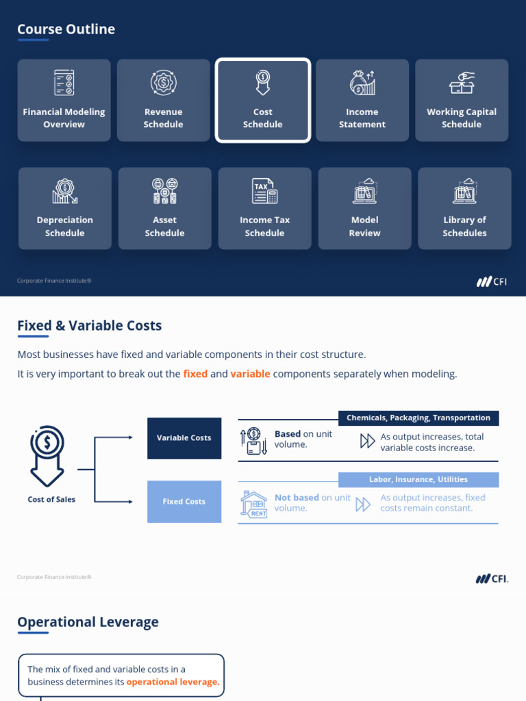 Cost Schedule Slides | PDF | Leverage (Finance) | Revenue