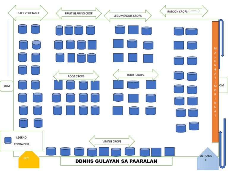 Gulayan sa Paaralan Design Layout | PDF | Edible Plants | Food Ingredients
