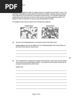 Marcel Newgard (Case 4) | PDF