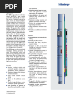 SLB Packer Catalog PDF | PDF | Casing (Borehole) | Drilling Rig