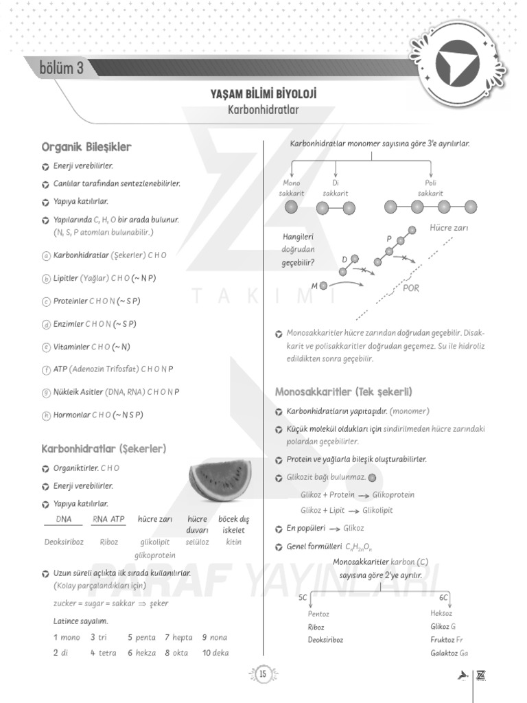Karbohidratlar Biosem - Paraf | PDF