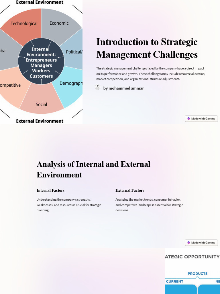 Introduction To Strategic Management Challenges | PDF | Strategic ...