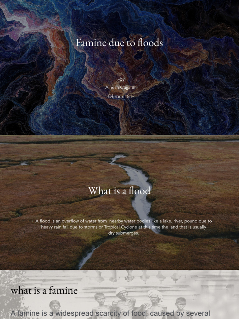 Presentation 3 | PDF