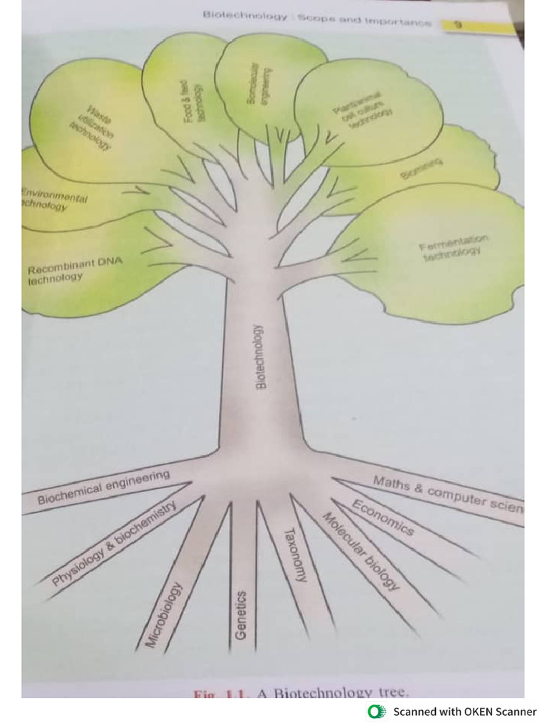 Biotech Tree | PDF