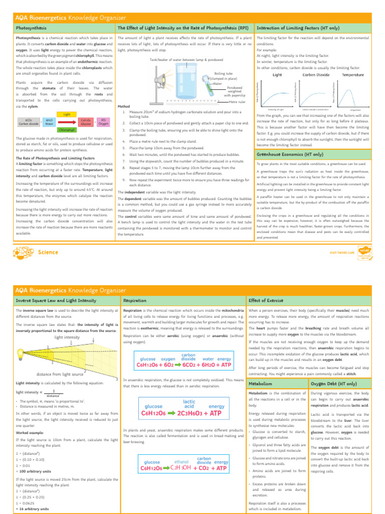 AQA Bioenergetics Knowledge Organiser | PDF | Cellular Respiration ...